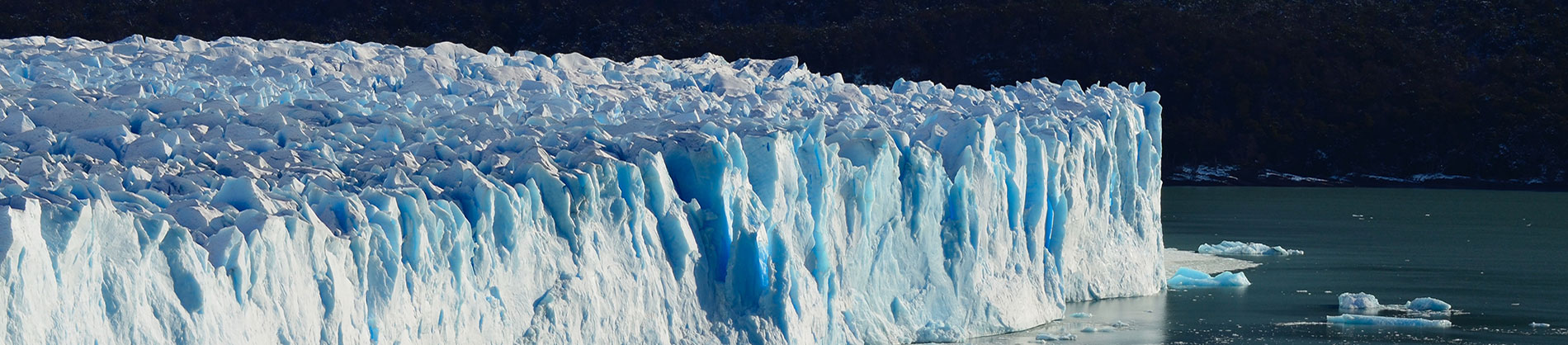 Climate Change Adaptation & Mitigation - First Environment